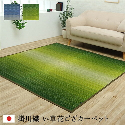 イケヒコ・コーポレーション 大自然 海 約174×261cm ウミ●福岡県筑後地方の無形文化財「掛川織」の技法で織り上げた花ござです。掛川織は経糸の間隔に変化を付けた直線的な織り方で、上質な草だからこそ織れる格調の高さは特筆物。花ござの中で...