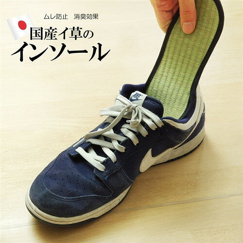 イケヒコ・コーポレーション い草インソール NV 約27cm ネイビー●い草を使用したインソールです。い草の消臭効果・湿度調整機能で、蒸れを抑え、臭いを消臭する効果があります。革靴やスニーカーなどにもおすすめです。サイズは22cmから27c...