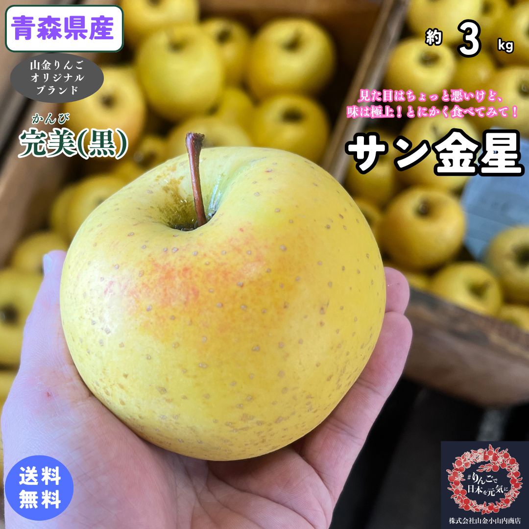 【在庫限り赤字覚悟の宣伝価格！】　【送料無料】数量限定！お試し品！青森県産　サン金星　家庭用　3kg(約3キロ)　 晩生種りんご　食品　果物　フルーツ　お取り寄せグルメ 希少品種サン金星！！サビが入りやすい品種なので見た目はちょっと悪いけど...