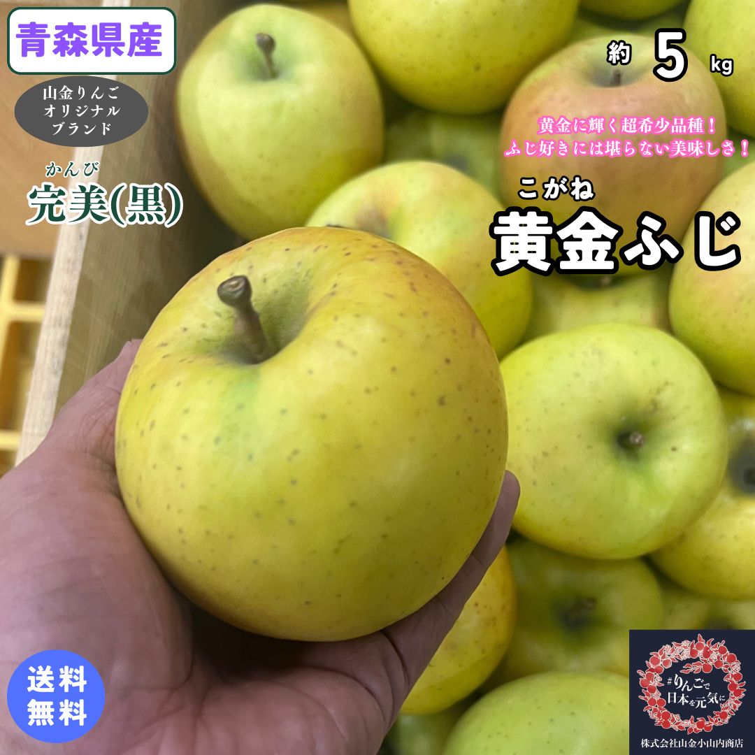 在庫ごくわずか！【送料無料】数量限定！青森県産　黄金ふじ　家庭用　5kg(約5キロ)　 晩生種りんご　食品　果物　フルーツ　お取り寄せグルメ ふじなのに黄色い？！奇跡的に誕生した幻のふじりんごが奇跡の入荷！りんごの未来を担う極上の味をたくさ...