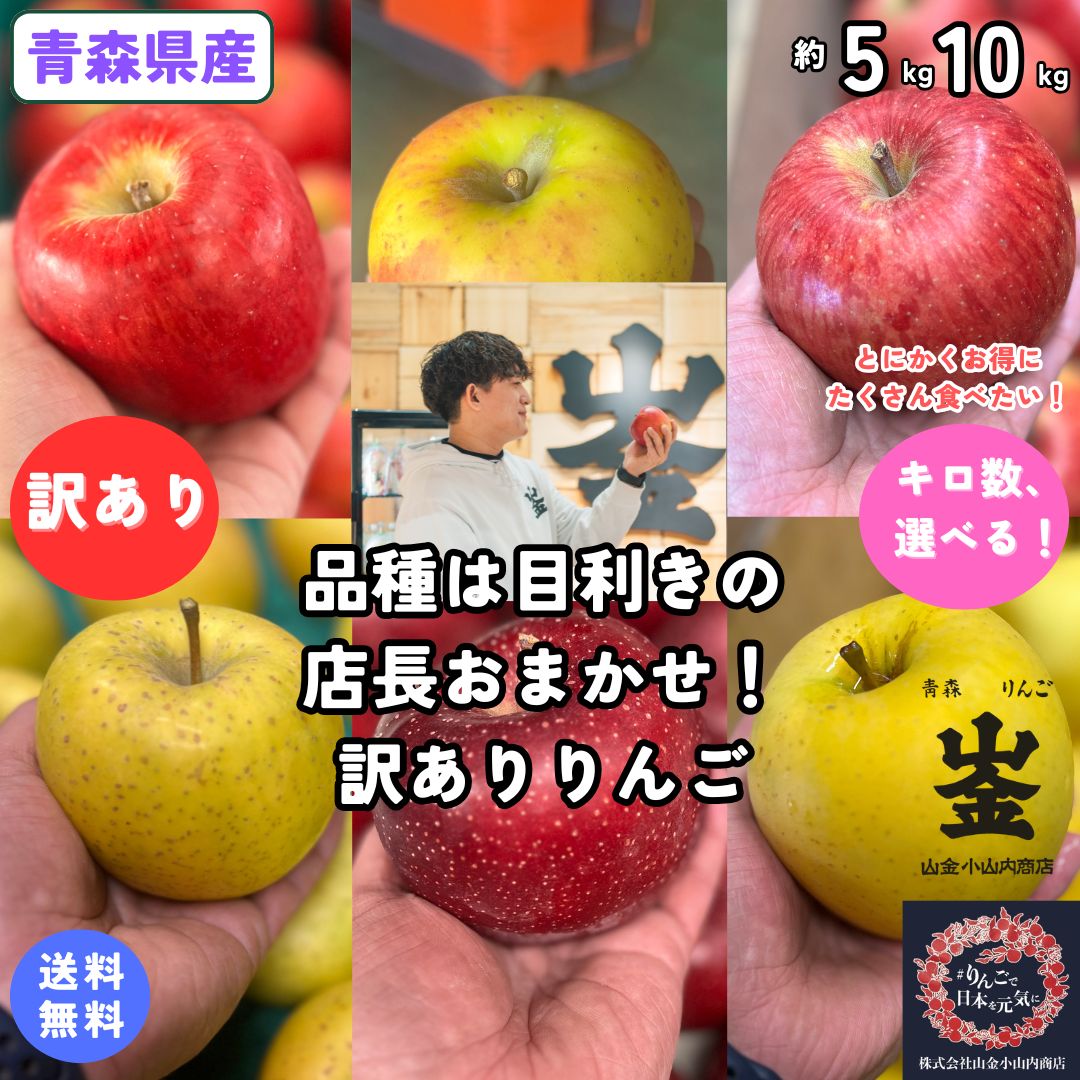 品種は目利きの店長おまかせ！とにかくお得にたくさん食べたい方におすすめ！【送料無料】青森県産　店長おまかせ　訳あり　約5・10Kg(約5・10キロ)　 晩生種りんご　食品　果物　フルーツ　お取り寄せグルメ 品種は店長のおまかせの訳あり品！見...
