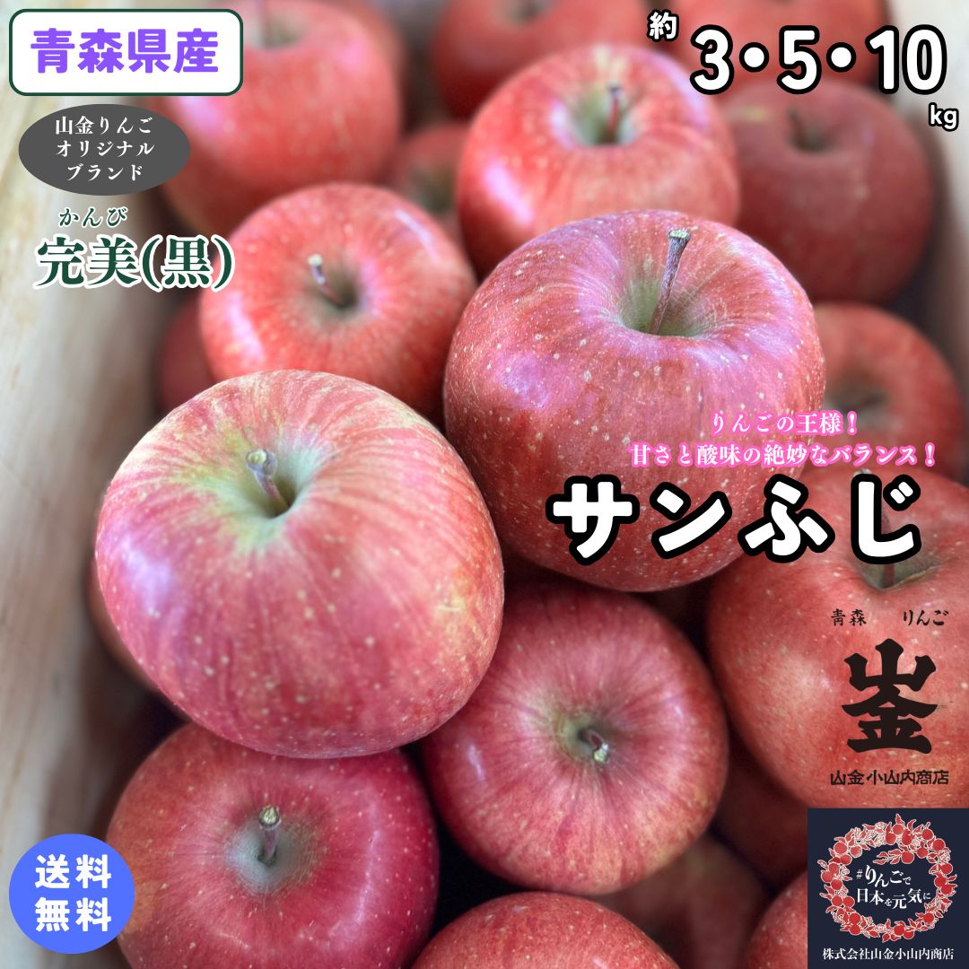りんごの王様！間違いなく美味しいりんごをりんごのプロの店長が厳選してお届けします！！【送料無料】お試し品！　青森県産　サンふじ　完美(黒)　家庭用　約3・5・10Kg(約3・5・10キロ)　 晩生種りんご　食品　果物　フルーツ　お取り寄せグ...