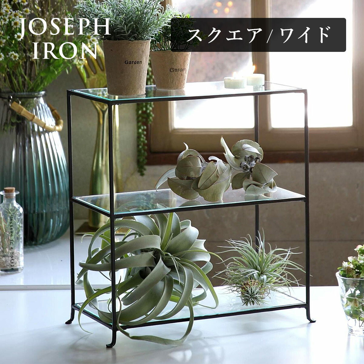 アクセサリーや植物など小物のディスプレイに、ショップの什器におすすめです。アンティーク調のデザインがインテリアによく映えます。スクエアタイプとワイドタイプの2種類をご用意しています。 サイズ スクエア：W225×D205×H420mm（ガラ...