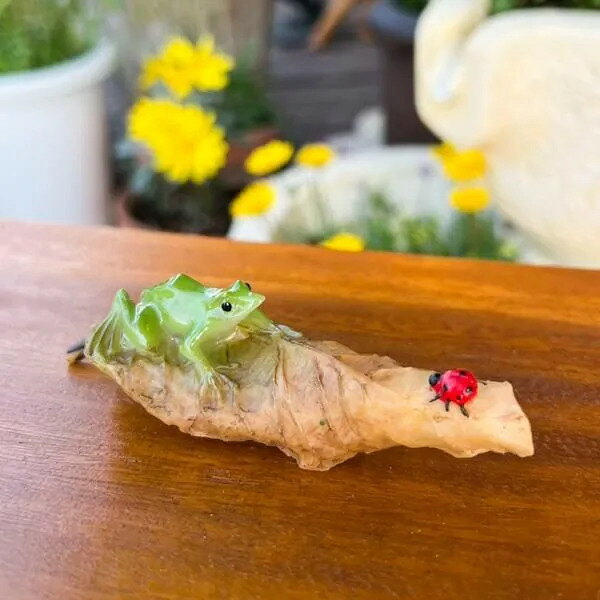 縁起物のカエルさん！か、可愛すぎる・・・カエルさんが入荷しました！当店人気カエルシリーズに木の葉の上でにらめっこするカエルとてんとう虫が仲間入り☆彡仲良くなろうとしているのか、木の葉を取り合っているのか・・・いろんな想像をしてしまいます(笑...