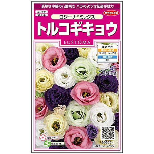 サカタのタネ トルコギキョウー