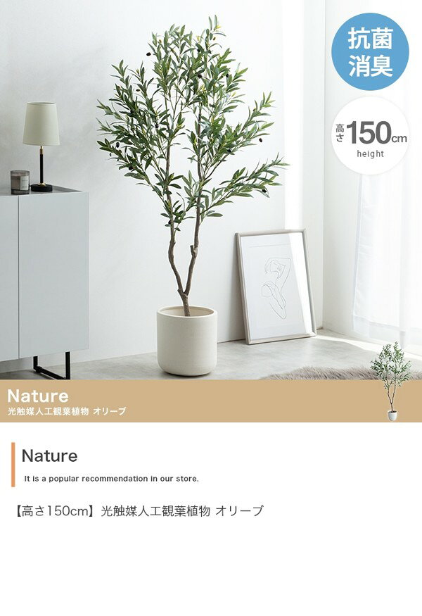商品説明(スペック) 日常空間にグリーンを気軽に取り入れられる、光触媒人工観葉植物『Nature(ナチュレ)』シリーズのオリーブ。 光触媒人工観葉植物は、照明光が当たることで消臭・抗菌・防汚・ホルムアルデヒド分解の効果を発揮します。 人工物...