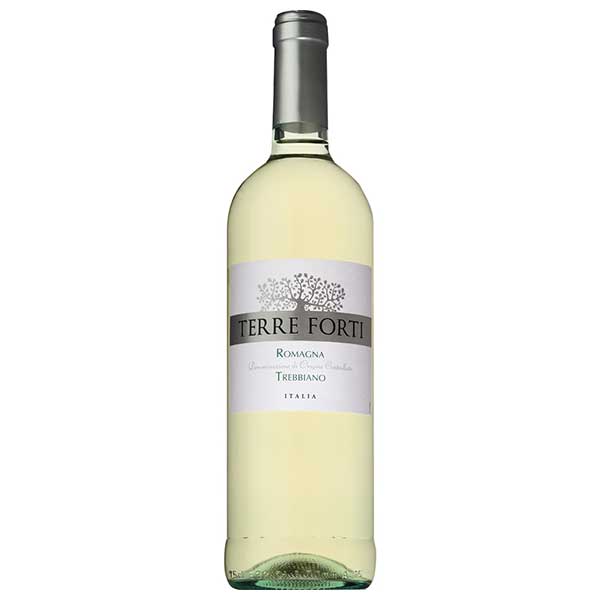 ※ヴィンテージやラベルのデザインが商品画像と異なる場合がございます。当店では、現行ヴィンテージの販売となります。ご指定のヴィンテージがある際は事前にご連絡ください。不良品以外でのご返品はお承りできません。ご了承ください。テッレ フォルティ ...