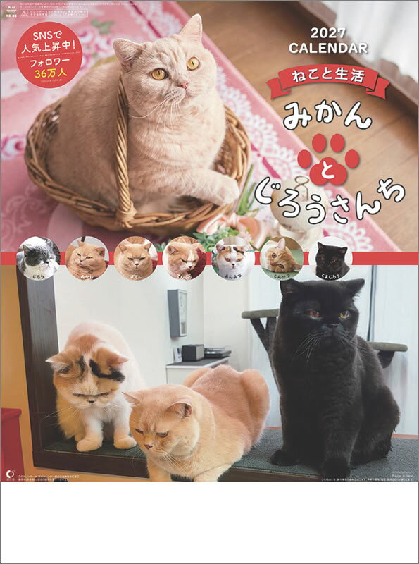 2027年 カレンダー 【新品】■タイトル／ねこと生活 みかんとじろうさんち ■品番／27CL-400 ■JAN／4985849134641 ■サイズ・仕様／54×38cm・13枚 / ヒラ ◆カレンダーご購入時の注意事項 ●掲載画像はイメ...