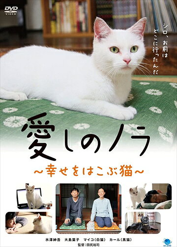 ◆ 商品説明 「ノラや」にインスパイアされた田尻裕司監督が作り上げた感動作。 ＜仕様＞DVD ■品番：BWD-3165 ■JAN：4944285031655 ■発売日：43502 出演: 水澤紳吾, 大島葉子, 守屋文雄, 梶三和子, 速水...