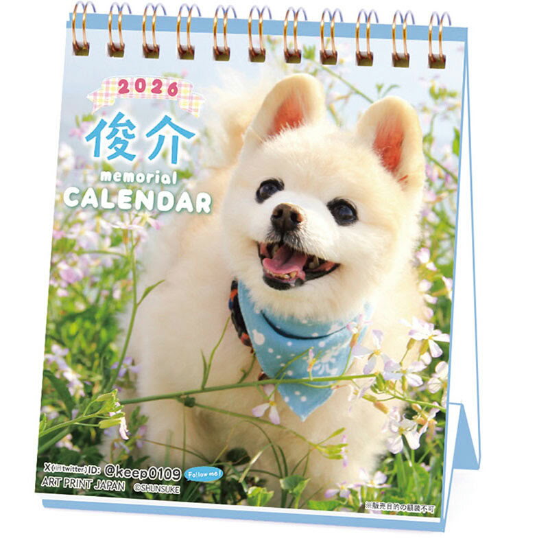 2026年 カレンダー 【新品未開封】■タイトル／俊介 週めくりミニ ■品番／CL26-389 ■JAN／4995027174482 ■サイズ・仕様／13×11cm・54枚 / ヒラ ◆カレンダーご購入時の注意事項 ●表示している商品画像は...