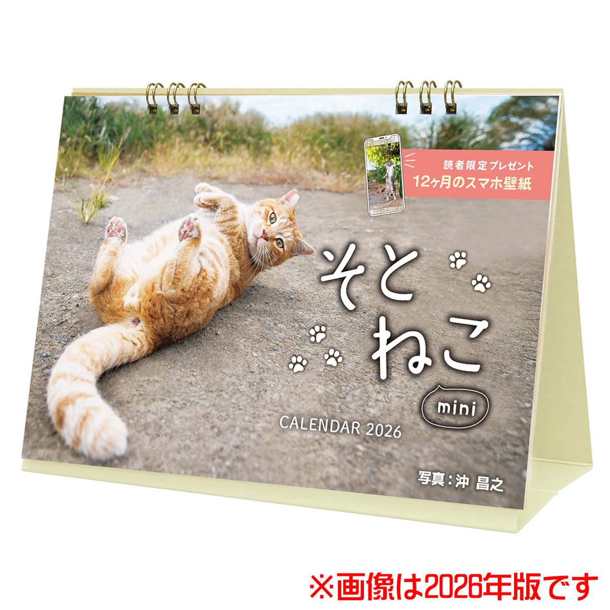 2027年 カレンダー 【新品】■タイトル／そとねこ mini (写真:沖 昌之) ■品番／9784295025320-DS ■JAN／9784295025320 ■サイズ・仕様／182×128 / ヒラ ■商品説明／野良猫の魅力満載! お...