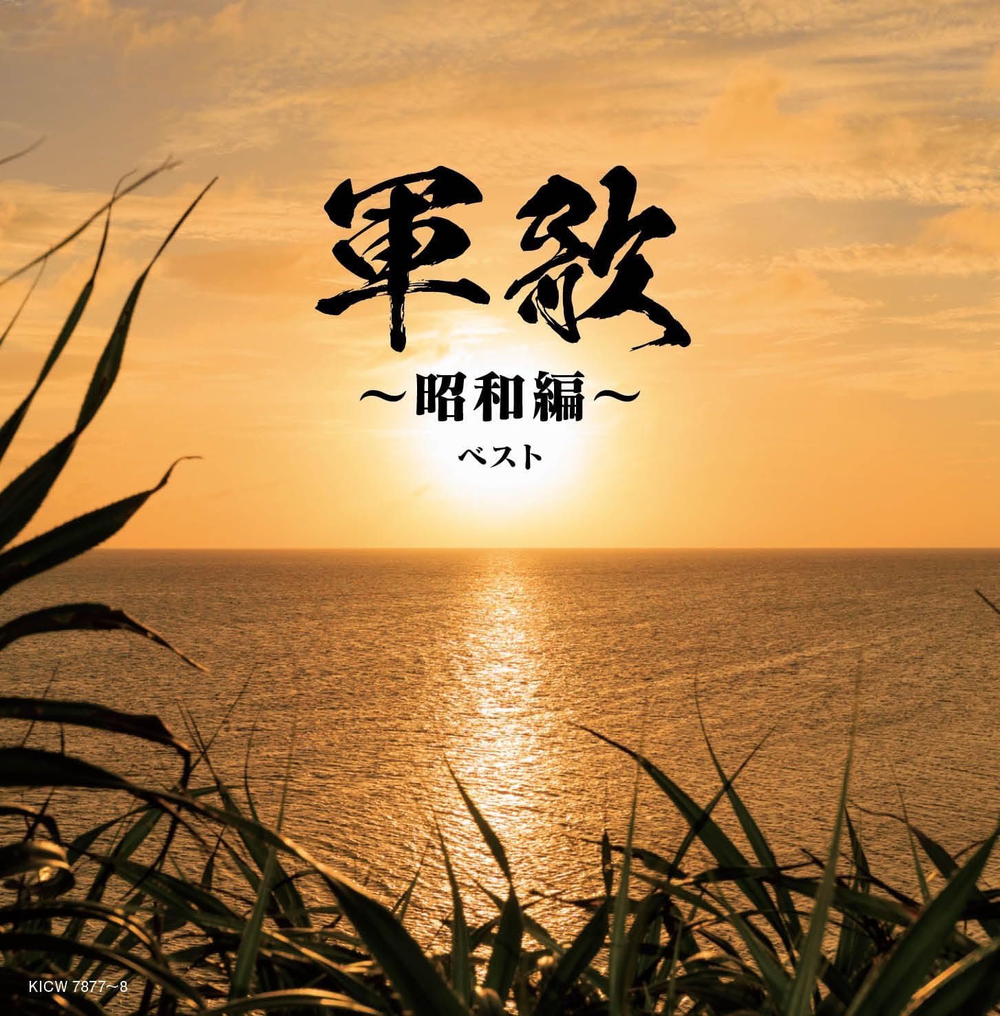 商品説明 収録曲 ディスク： 1 1.進軍 2.関東軍軍歌 3.青年日本の歌 4.爆弾三勇士 5.討匪行 6.連合艦隊行進曲 7.国境の町 8.軍国子守唄 9.ああ我が戦友 10.進軍の歌 11.露営の歌 12.海ゆかば 13.愛国行進曲 ...