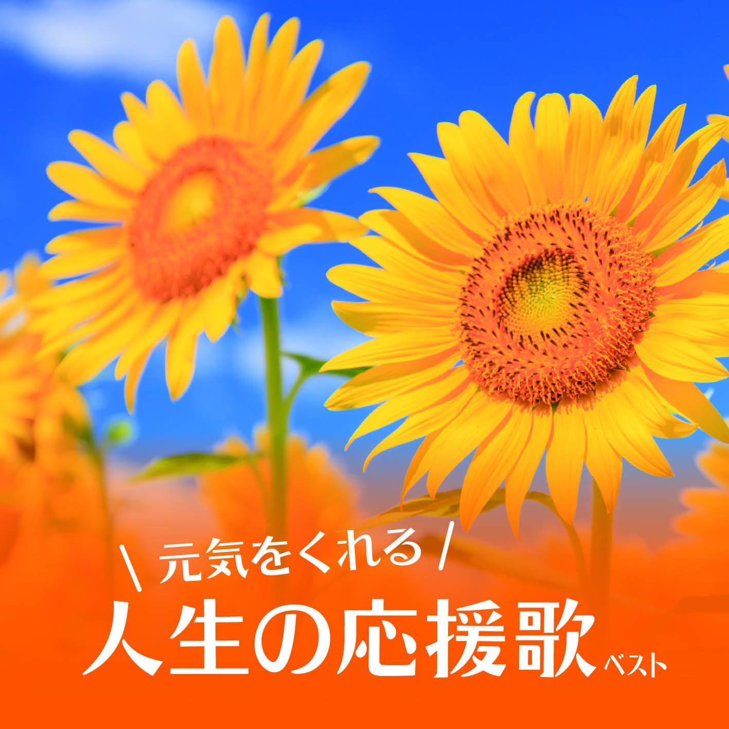 商品説明 おなじみのジャンル別定番商品の2025年版が登場!本作は、悩んだとき、落ち込んだとき、新しいことにチャレンジしようとしているときなどに元気をくれる応援ソング集! 収録曲 1. 愛は勝つ 2. Runner 3. ダイナミック琉球 ...