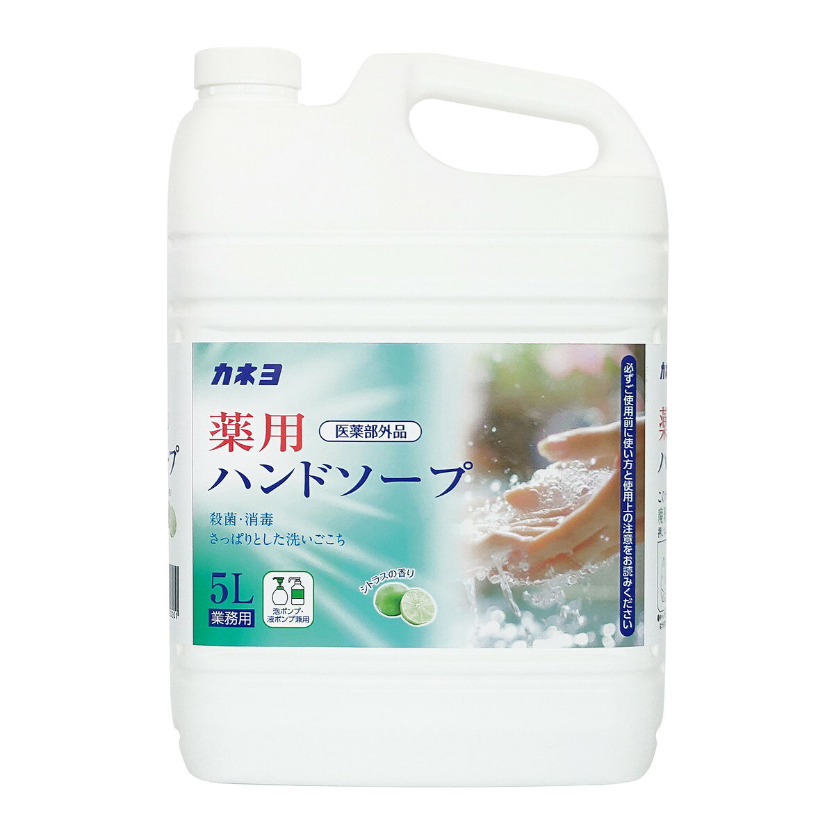 商品名：カネヨ 薬用 ハンドソープ 5L カネヨ石鹸内容量：5LJANコード：4901329500201発売元、製造元、輸入元又は販売元：カネヨ石鹸原産国：日本区分：医薬部外品商品番号：101-*003-4901329500201商品説明殺...