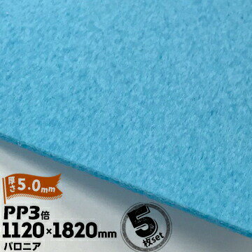 特　長 ★ポリプロピレンを約3倍に押出発泡形成した独立気泡構造のシート ★軽量で丈夫な素材 ★緩衝性、適度な耐衝撃性に優れている ★耐水性、耐薬品性、耐熱性に優れている ★切断が容易 用　途 ★合板、プラダン 塩ビ発泡シートなどの代替素材と...