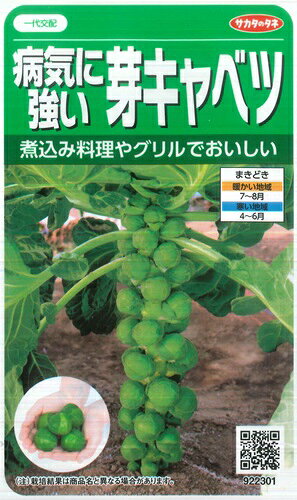 病気に強く、球が大きめで揃いの良い芽キャベツです。 倒れにくく、節間が適度に伸びるので収穫しやすい品種です。 ●数　量：商品名に記載 ●生産地：オランダ ●発芽率：80％以上 ●有効期限：2027年5月末日 ※この種子は農薬を使っていません...