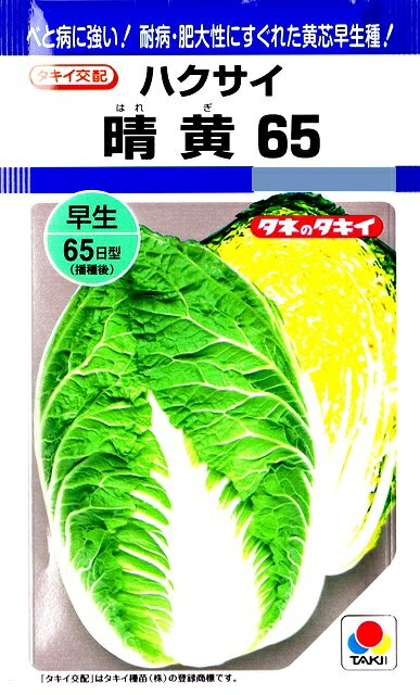各種病気に強く、特にべと病に強い ●数量：商品名に記載 ●生産地：チリ ●発芽率：85％以上 ●有効期限：2027年4月 ※この種子は農薬処理をしていません。 ※ご注文時、まきどきにご注意下さい。
