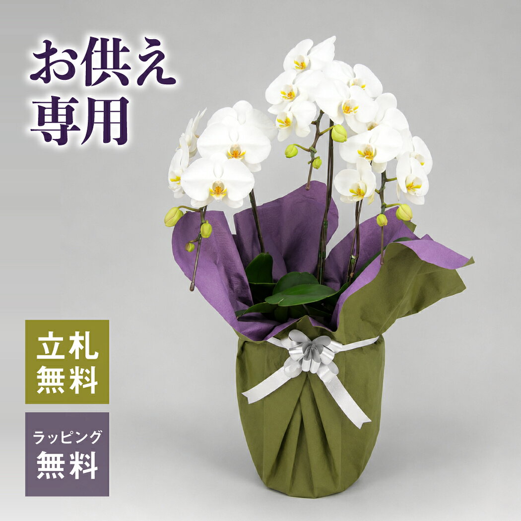 ギフト対応 有料オプションは商品とは別に、個別に買い物かごに追加してください。 人よりより目立たせたいための豪華ラッピングです 当店のギフト商品と合わせてご購入下さい。【同梱専用】 有料豪華ラッピング 単独で購入できません。商品と合わせてご...