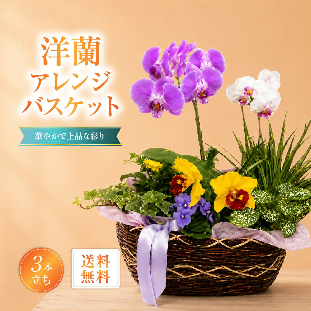 ギフト対応 有料オプションは商品とは別に、個別に買い物かごに追加してください。 人よりより目立たせたいための豪華ラッピングです 当店のギフト商品と合わせてご購入下さい。【同梱専用】 有料豪華ラッピング 単独で購入できません。商品と合わせてご...