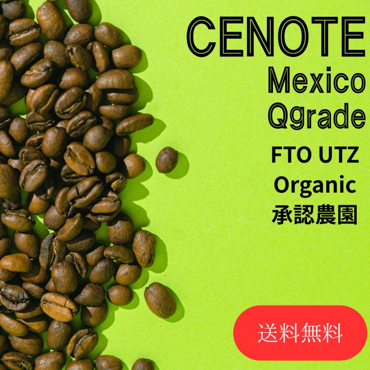 商品情報名称セノーテ産地メキシコ内容量200g（生豆時）　200gの生豆を焙煎しますと、焙煎度合いにもよりますが約170gの焙煎豆となります賞味期限製造日から90日 ～ 120日未満オーダー焙煎 コーヒー豆 送料無料 メキシコ セノーテ F...