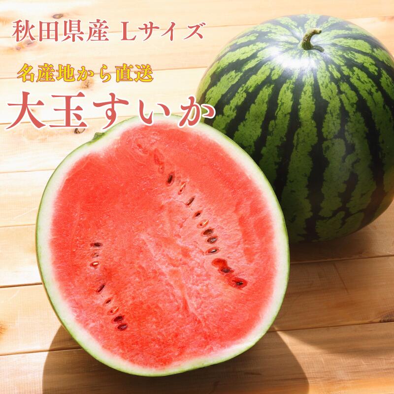 豊かな自然と理想的な気候 秋田県は、清らかな水と肥沃な土壌に恵まれています。 四季折々の気候が、甘くてジューシーなすいかを育てるのに最適な環境を提供しています。 昼夜の寒暖差が大きくなることで、すいかの甘みが一層引き立ちます。 小玉スイカはこちら