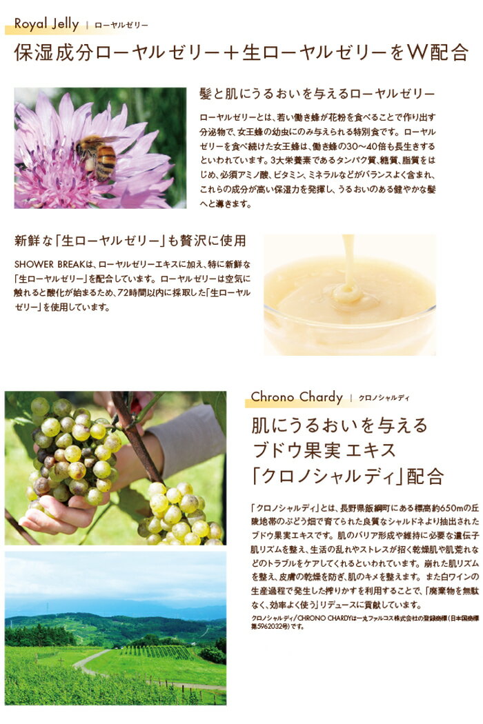 POLA ポーラ シャワーブレイク 10Lx3種類セット ボディソープ・コンデ・シャンプー （500ml当り291.5円（税込））| You通販 | POLAのアメニティ