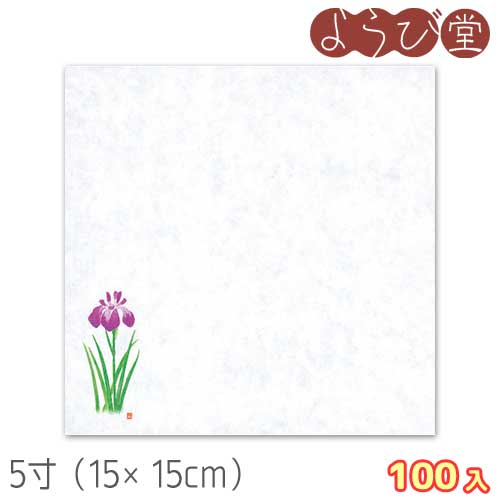 四季の珍味の盛り付けや季節に合った折々のおもてなしに最適です。耐油天紙は長時間経過しても油がにじみにくく天ぷらがべとつかず揚げたての美味しさを保ちます。余分な油が器にこびりつきにくく後片付けが簡単です。 ●サイズ：約15×15cm●入数：1...