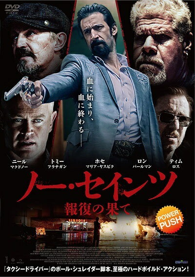 ◆商品説明◆ 商品名 【中古】 ノー・セインツ 報復の果て [レンタル落ち] [DVD] CPDP16291 JAN 4532612162013 型番 CPDP16291 ご確認ください 状態「中古：やや傷や汚れあり」 ●レンタル店で使用さ...
