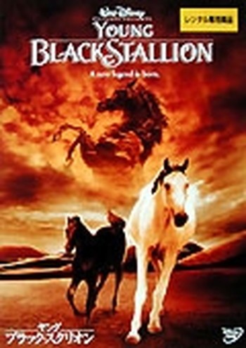 ◆商品説明◆ 商品名 ●【中古】ヤング・ブラック・スタリオン[レンタル落ち] [DVD] JAN 4959241044594 型番 VWDP4459 ご確認ください 状態「中古：やや傷や汚れあり」 ●レンタル店で使用されていた中古品です。 ...