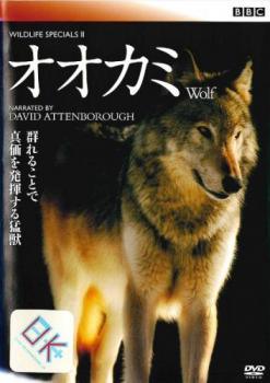 ◆商品説明◆ 商品名 【中古】 BBC ワイルドライフ スペシャル 2 オオカミ【字幕】 [レンタル落ち] [DVD] JAN 4947864913045 型番 REDV00675P ご確認ください 状態「中古：やや傷や汚れあり」 ●レンタ...