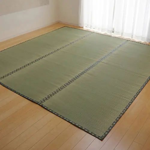 お客様の注目キーワードはこちら！賃貸物件にもおすすめ 両面使える 純国産い草上敷きカーペット 江戸間皆さんは「い草」という品種をご存知ですか？青々とした風合いが美しく、古くから畳などに使われてきた自然素材です。特に日本産のものは海外産と比べ...