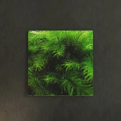 お客様の注目キーワードはこちら！[30×30]飾りやすいモチーフ 風景写真のファブリックパネル年齢や性別を問わない自然を感じるデザインが素敵な、植物をモチーフにした風景写真のファブリックパネルはいかがでしょうか。お住まいが都会だったり、観葉...