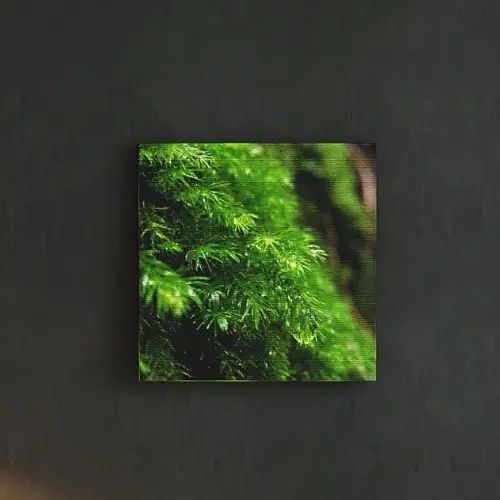 お客様の注目キーワードはこちら！[30×30]青々としたグリーンが美しい 風景写真のファブリックパネルコントラストが効いた生き生きとして見える緑色の植物が、お部屋に明るい彩りをプラスしてくれるファブリックパネルです。どんなスペースにも合わせ...