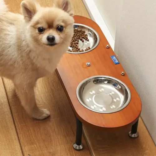お客様の注目キーワードはこちら！食事時間をサポートしてリスクから守る 木製デザイン ペット用食器こちらはパイン材を使用した高さ12cmの小型犬・猫向けの食器台です。フローリングや家具の素材としてもよく用いられるパイン材は香り豊かで、木製なら...