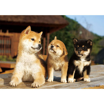 ※本商品はお取り寄せ商品ですご予約・お取り寄せ商品についてお支払い方法・送料についてジグソーパズル 88ピース 縁側ともだち [P88-023] 【いぬ イヌ 犬 ビバリー】ジグソーパズル 88ピース 縁側ともだち [P88-023] 【い...