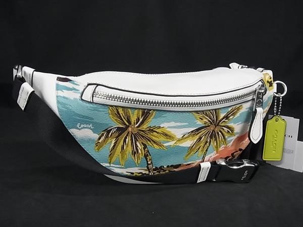 商品情報 ブランド名 COACH コーチ 状態ランク SAランク(極美品) ライン カラーホワイト系×ブルー系 素材 レザー サイズ W (上部)約27.5cm　H 約12.5cm　D 約1.5cm ポケット外 ファスナーポケット×1 付属...