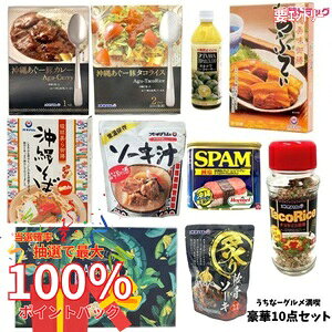 「沖縄の味が恋しい！」「色々な沖縄料理を一度に楽しみたい！」 そんな声にお応えして、沖縄の人気商品を厳選したスペシャルセットをご用意しました。 ランチにぴったりの沖縄そばやタコライス、夕食のメインになるラフテーやソーキ汁、そして食後のデザー...