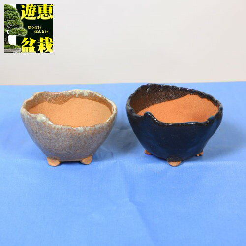 商品情報盆栽鉢　相馬焼（大）お好きな色をお選び下さい。＊数量物の為、若干の色の違い(色むら)があります。サイズ高さ：約6.3cm　　鉢径：約10cm　納期配達ご希望日時のご指定ができます。お急ぎの場合は午前中までにご注文の場合、即日発送も可...