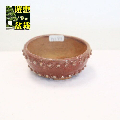 商品情報花崎俊豪の妻「せい子」作 鉢底に「せい子」の落款があります。 サイズサイズ：鉢径：8.5cm　　高さ：3.4cm納期配達ご希望日時のご指定ができます。お急ぎの場合は午前中までにご注文の場合、即日発送も可能です。配送【業者】 ヤマト運...