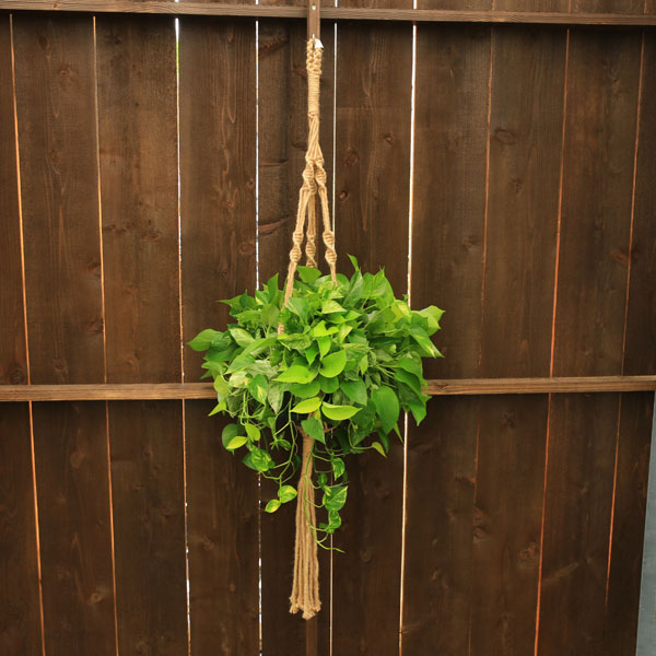 マクラメ ハンギングロープL 商品説明 植物やフェイクグリーンを入れてお部屋に吊るすだけで、インテリアに立体感が生まれます。24cmくらいまでの植木鉢カバーにオススメです。 - 備考 - 自然素材を使用し、手作業の為サイズや色等違いが生じる...