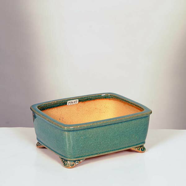 商品説明 柴勝　長方鉢 本名：柴田　勝一 愛知県常滑市出身。 常滑作家のひとりで、タタラと押型による手づくり鉢を作られています。 泥物から釉薬まで幅広い作陶で、樹の育成にも優れた鉢です。 サイズ 鉢径：約15.9cm　高さ：約6.5cm　奥...