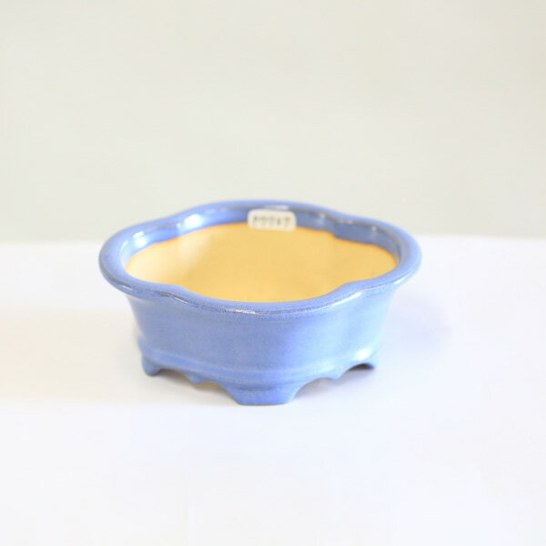 商品説明 昭山　モッコ鉢 本名：山　昭雄 福井県鯖江市出身。 全て手作りで、ミニ・小品盆栽鉢に最適です。 一つ一つ時間を掛けて作られており、同じ寸法、同じ形はございません。 鉢の厚みも薄く、実用鉢に適しています。 ※手作りの為、寸法の誤差。...