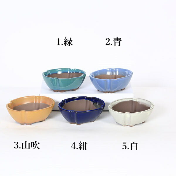 商品説明 国産鉢：モッコ鉢　12.5cm （2141）*資材 日本製鉢　色物鉢 ※こちらは数量物となっております。 ※ご希望の色をお選び下さい。 ＊数量物の為、若干の色の違い(色むら)があります。 サイズ 鉢径：12.5cm　奥行：11cm...