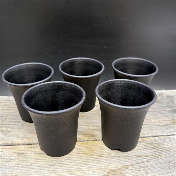 商品説明 2.5号ミニラン鉢のプラスチックポット、5個セットです。 深めですので、サボテン・多肉植物の植え替え・育成に最適！ 幅：7cm　高さ：7.5cm サイズ 幅：7cm　高さ：7.5cm 用途 深めですので、サボテン・多肉植物の植え替...