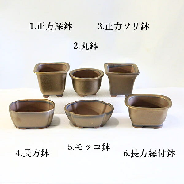 商品説明 鉢：国産鉢　ゴールド　3.5号*資材 日本製鉢　色物鉢 ※こちらは数量物となっております。※セット商品ではありません。 ※ご希望の形をお選び下さい。 ＊数量物の為、若干の色の違い(色むら)があります。 サイズ 1.正方深鉢　鉢径：...