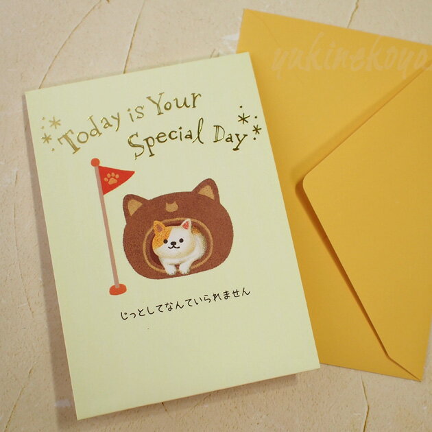 商品名 猫 ポップアップ 飛び出すグリーティングカード Today is Your Special Day じっとしてなんていられません 仕様 ■メーカー：日本ホールマーク / 日本 ■製造国：中国 ■封筒サイズ：114×162mm ■封筒...