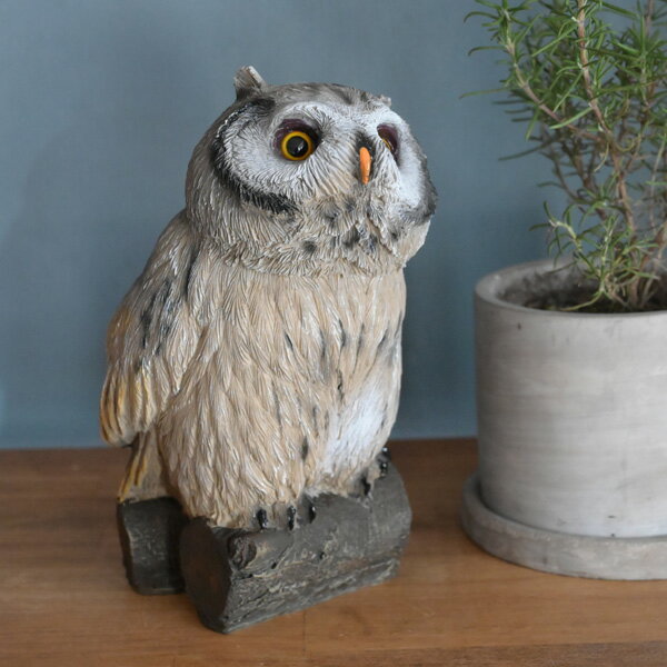 【2026.2】ルックブランチオウル リアルな表情のフクロウのオブジェ。 見上げた視界には何が写ってるのかな？ 木の枝にちょこんと佇む姿は優しい印象で インテリアに自然に溶け込みそうです。 縁起物のフクロウは玄関のインテリアに おすすめです...