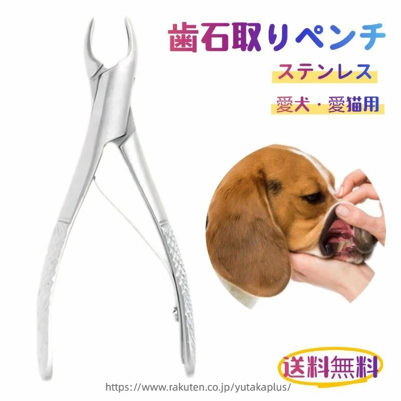 この商品は愛犬愛猫用 歯石取り ペンチ 犬 歯石 デンタルケア ホームケア 猫 プロも愛用ポイント愛犬愛猫用 歯石取り ペンチ 送料無料ショップからのメッセージ納期について4この商品は愛犬愛猫用 歯石取り ペンチ 犬 歯石 デンタルケア ホ...