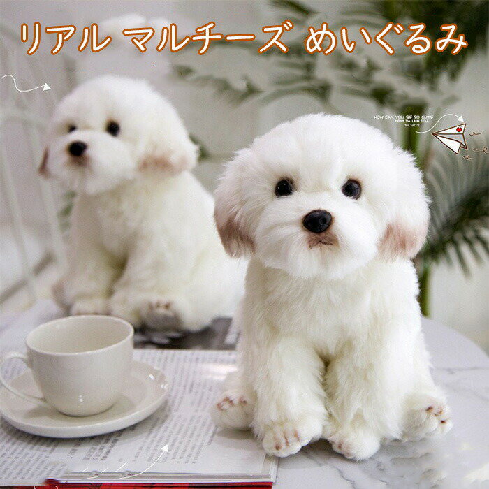 artifacts1 商品説明 商品説明 商品名：リアルマルチーズぬいぐるみ サイズ：約38x21x26cm 中綿：PPコットン 生産国：中国 ご注意：当商品は簡易外装より発送いたします。 注意事項 ※商品の色はモニターの具合で実物と若干異...