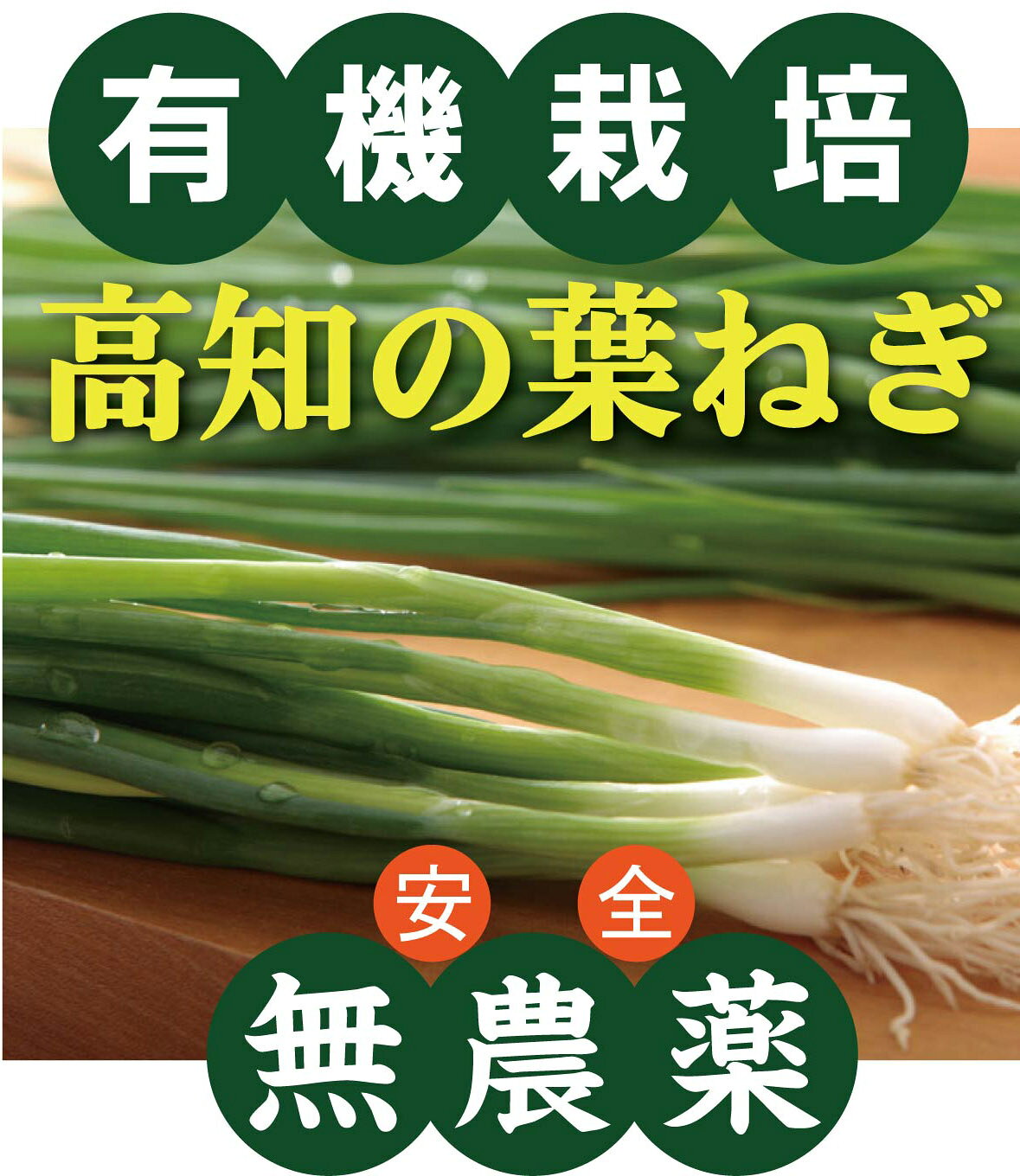 ◎生産者：大地と自然の恵み （高知県香美郡）　　 　有機JAS認証（無農薬・無添加）お野菜の発送は月曜日と金曜日のみとなりますのでご了承ください。